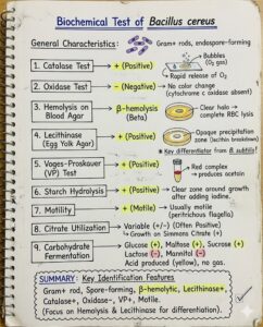 Biochemical Test of Bacillus cereus